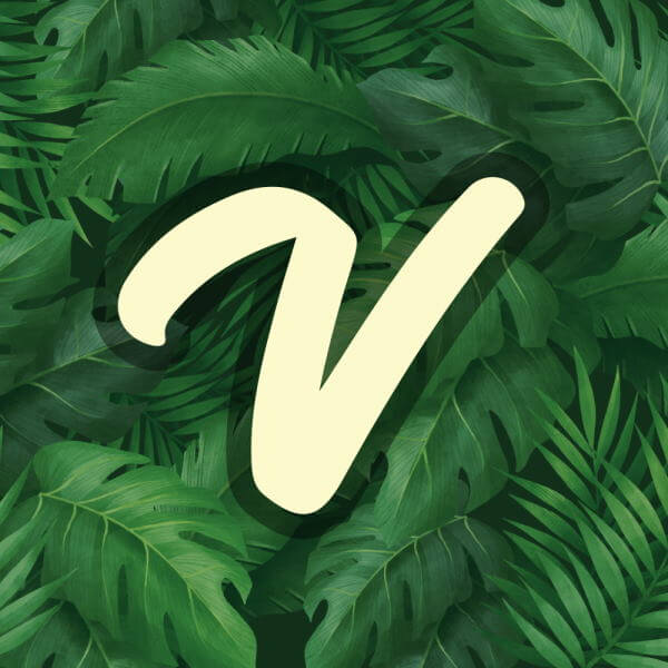 Vicetemple Review: The Best Adult Hosting Provider In 2025 – InsideHost